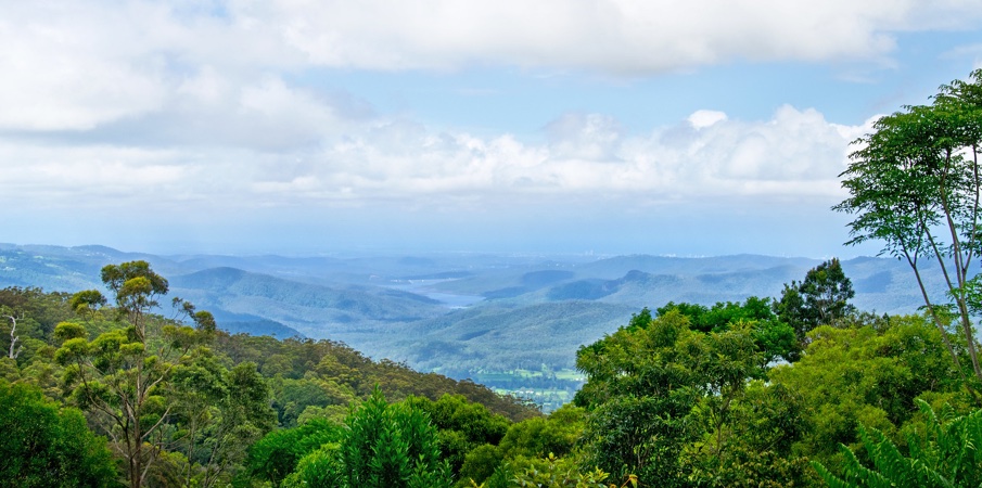 Best Spring Destinations in Australia According to Bloggers