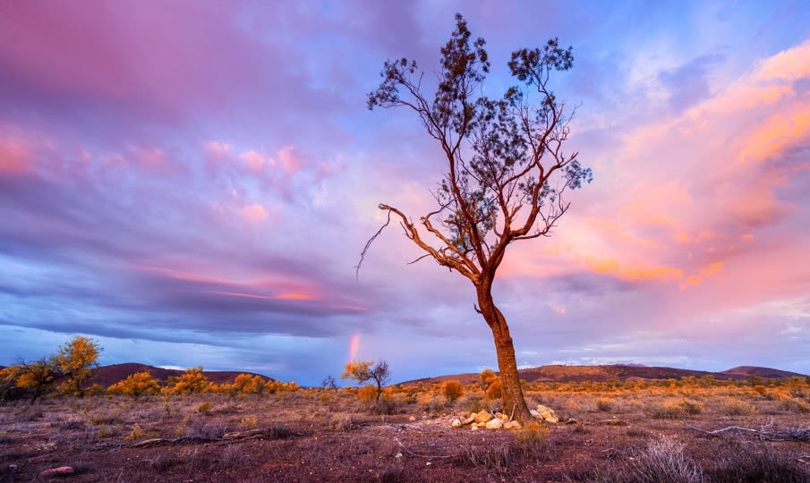 Adelaide to Uluru Road Trip - VroomVroomVroom